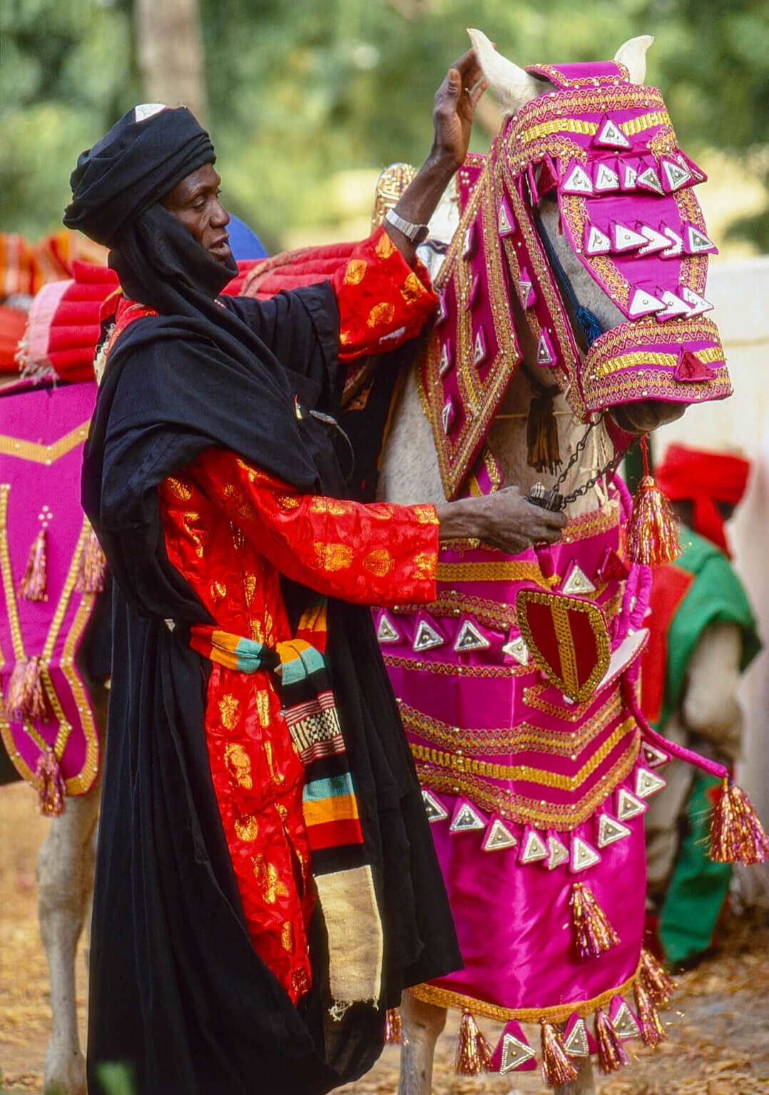 Africa Online Museum » Nigeria » Hausa Kingdom » Photos