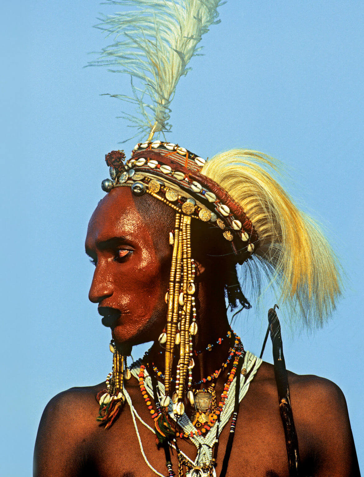 Africa Online Museum » Niger » Wodaabe Courtship » Photos