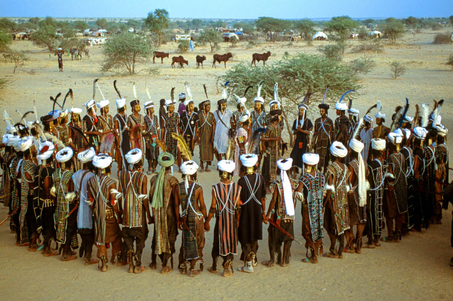 Africa Online Museum » Niger » Wodaabe Courtship » Photos