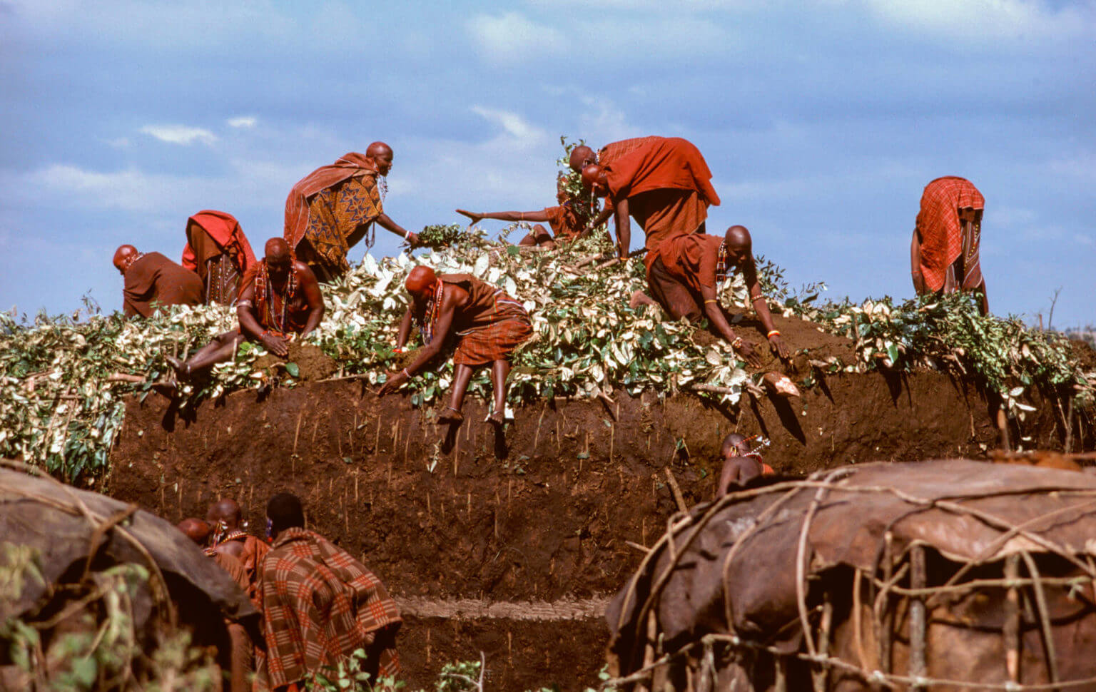 Africa Online Museum » Tanzania » Maasai Warriorhood Initiation ...