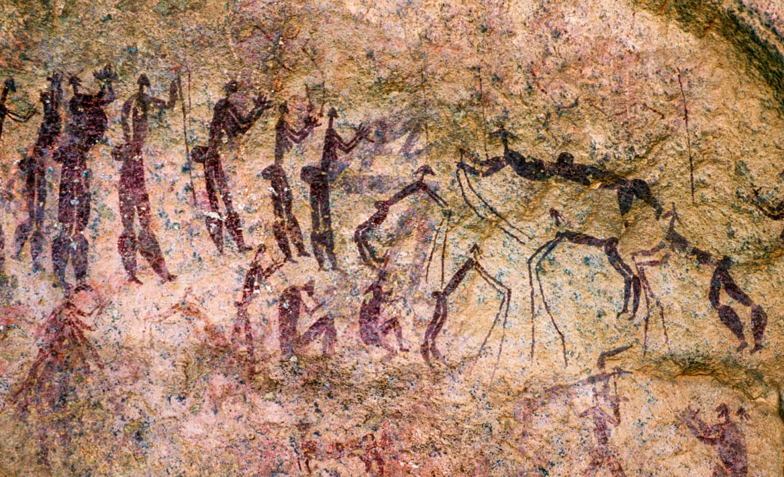 Africa Online Museum » Botswana » San of the Kalahari » Photos